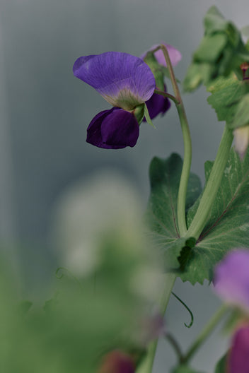 The kit: Index | kit: